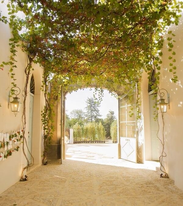 #Experience Bodegas Góngora Experience | Coolrooms
